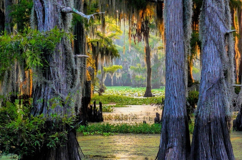 Natural Wonders in Texas: 11 Must-See Places in the Lone Star State
