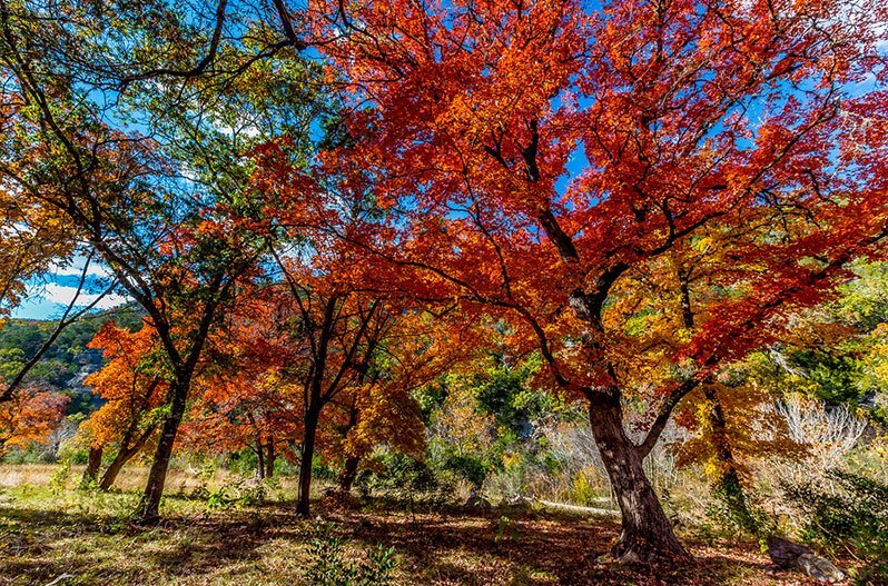 7 Best Places to Get the Most out of Autumn in Texas