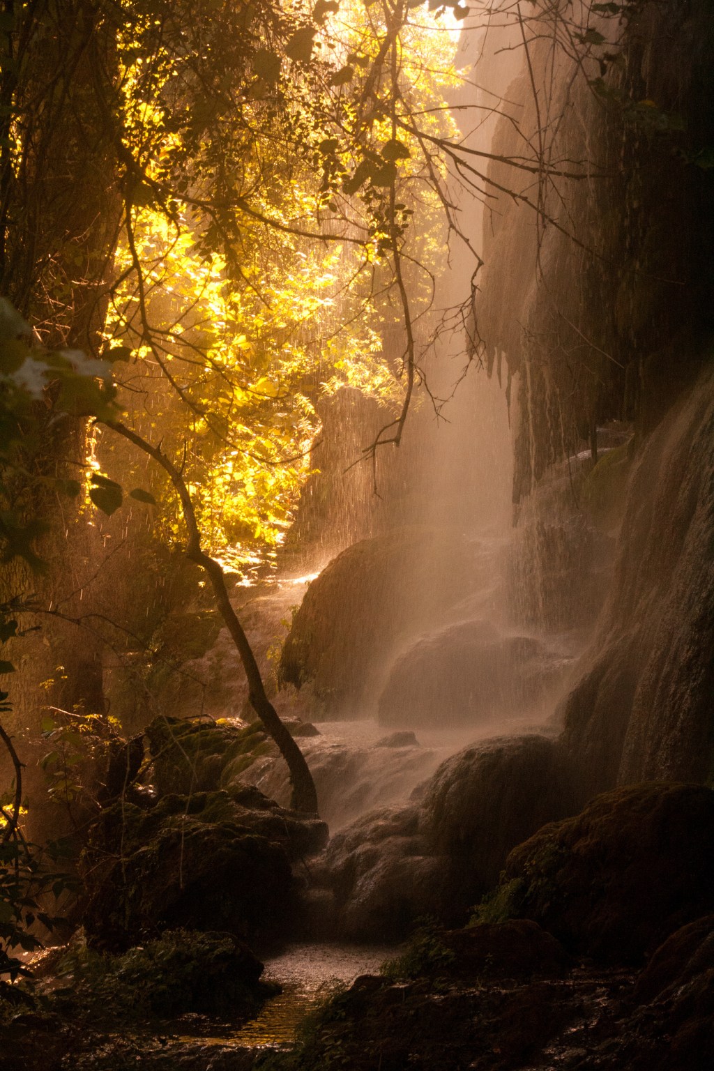 Natural Wonders in Texas: 11 Must-See Places in the Lone Star State