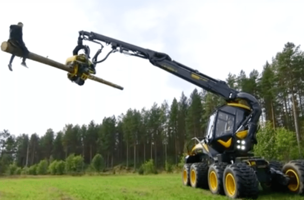 Logging Machine with a Saddle Becomes Terrifying Rodeo-Like Challenge