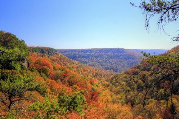 Fall Foliage in the South: Celebrate the Season With These Photos