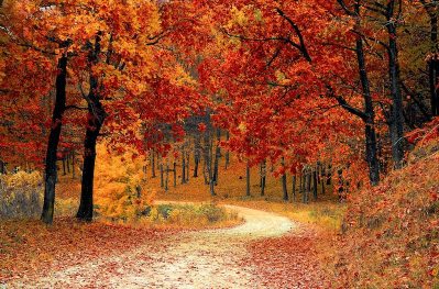 Fall Foliage in the South: Celebrate the Season With These Photos
