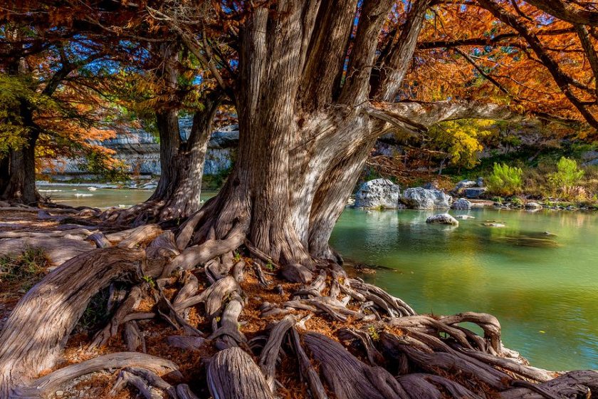 Fall in Texas in 10 Breathtaking Photos from Around the State