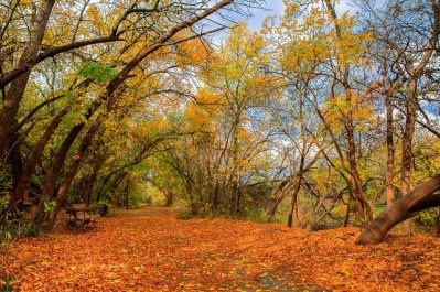 Fall in Texas in 10 Breathtaking Photos from Around the State