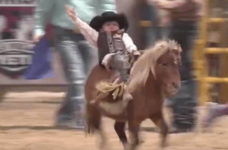 Bronc Ryder: the Tiny Rodeo Bronc Rider You're Gonna Love