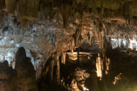 Rabbit Holes in Farmer's Field Lead to Mysterious Underground Caves