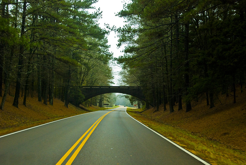 Natchez Trace Parkway: Why the Road is the Perfect Southern Journey