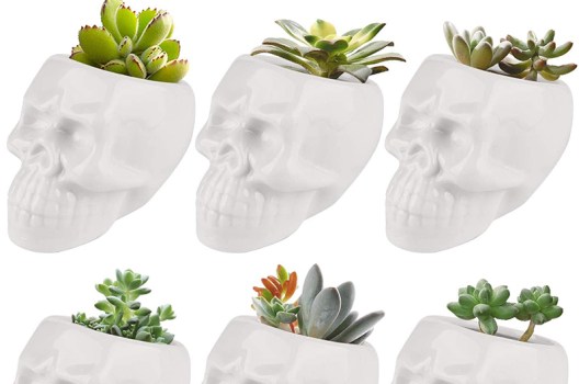 Skeleton Planters: the Cutest, Creepiest Decor You Need This Halloween