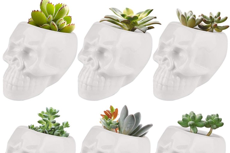 Skeleton Planters: the Cutest, Creepiest Decor You Need This Halloween