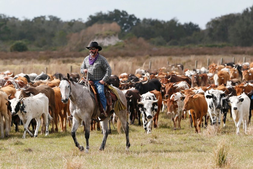 15 Places in the US Where Cowboy Culture Is Alive and Well