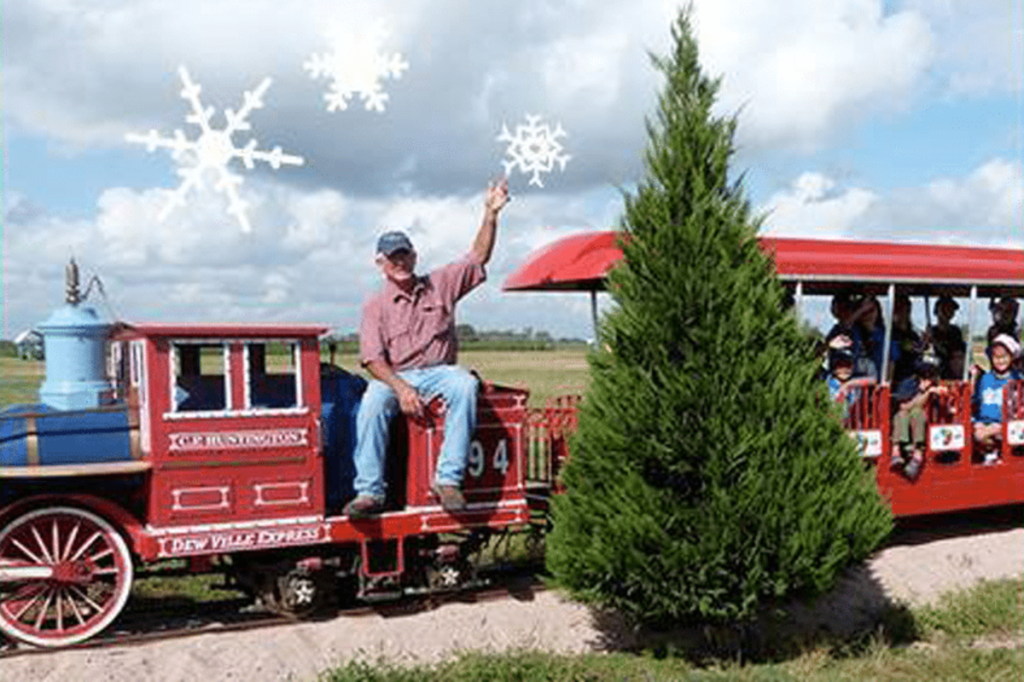 10 Texas Christmas Tree Farms That Are Worth the Trip
