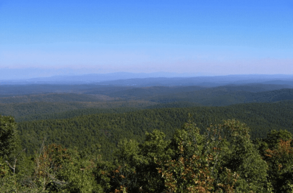 Ouachita National Forest: Visit the Oldest National Forest in the South