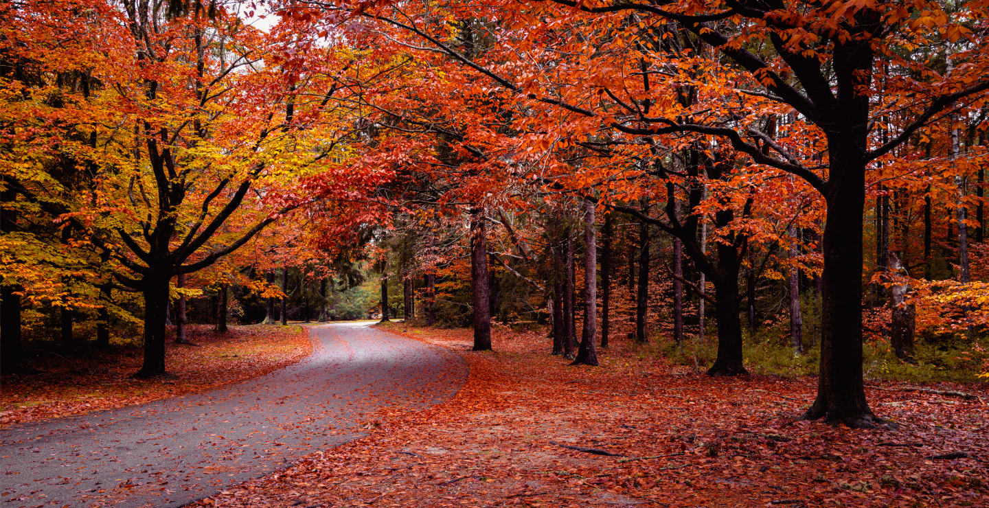 This Map Shows the Best Time to See Fall Foliage Across the U.S.