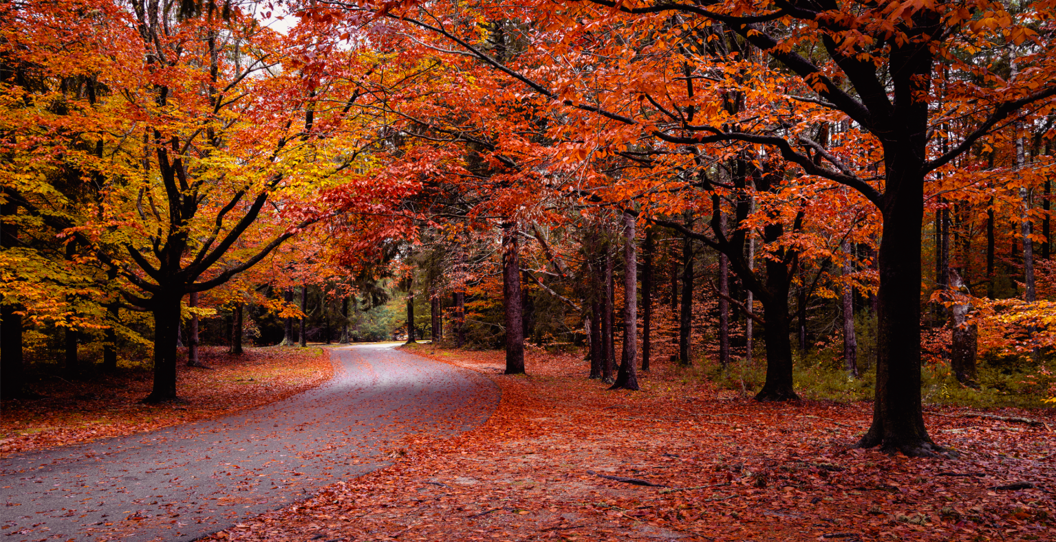 This Map Shows the Best Time to See Fall Foliage Across the U.S.