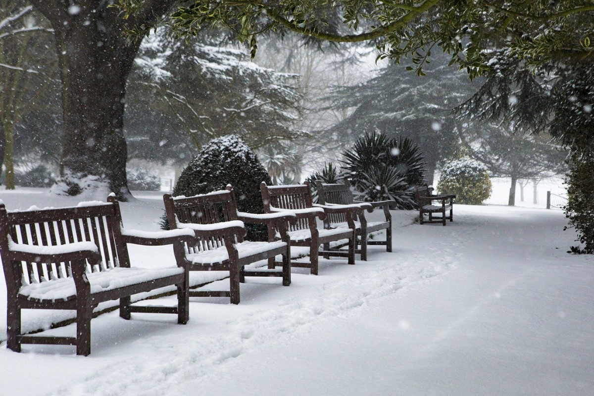 Old Farmer's Almanac Helps Predict if You'll Have a White Christmas