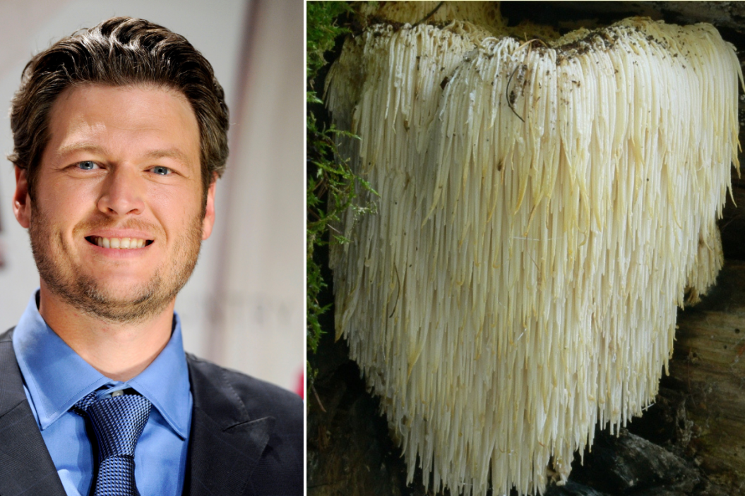 Blake Shelton Finds, Fries and Eats a Trippy-Looking Mushroom