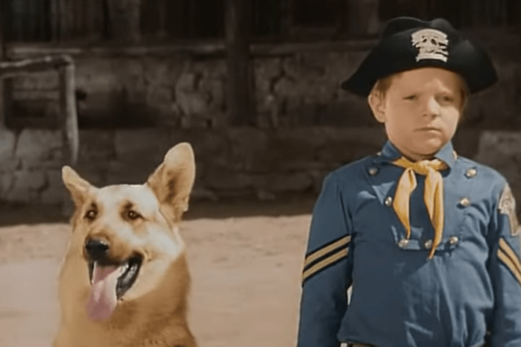 Lee Aaker, the Child Star of 'The Adventures of Rin Tin Tin,' Dies at ...