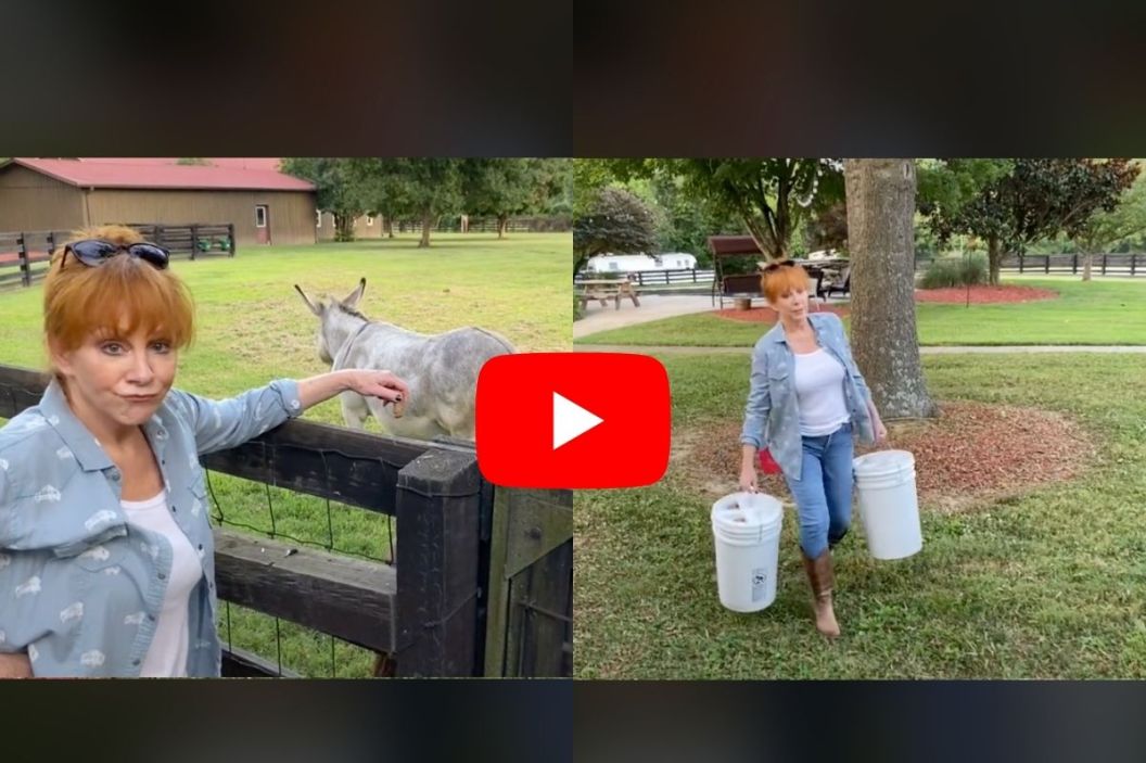 Reba McEntire Gets on the 'I'm a Survivor' Tiktok Trend - and Nails It ...