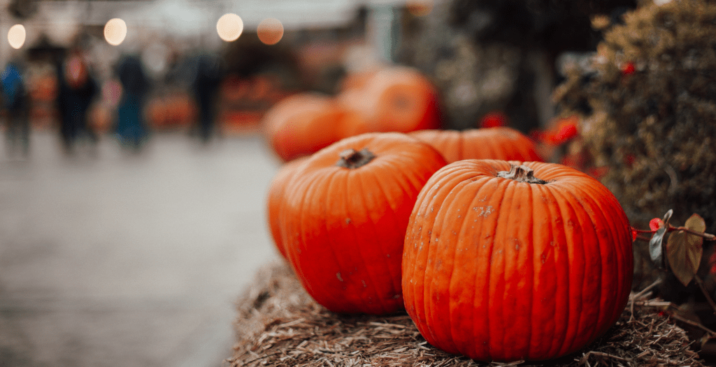 Thanksgiving Towns: 20 Getaways for a Cozy Family Holiday