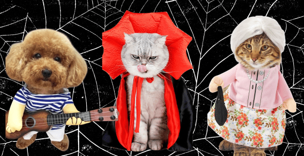 Silly and Spooky Pet Halloween Costumes For Your Furry Friends