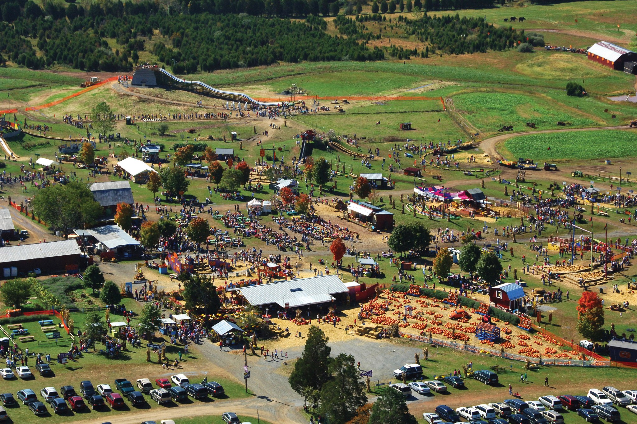 The 26 Best Pumpkin Patches Around the U.S.