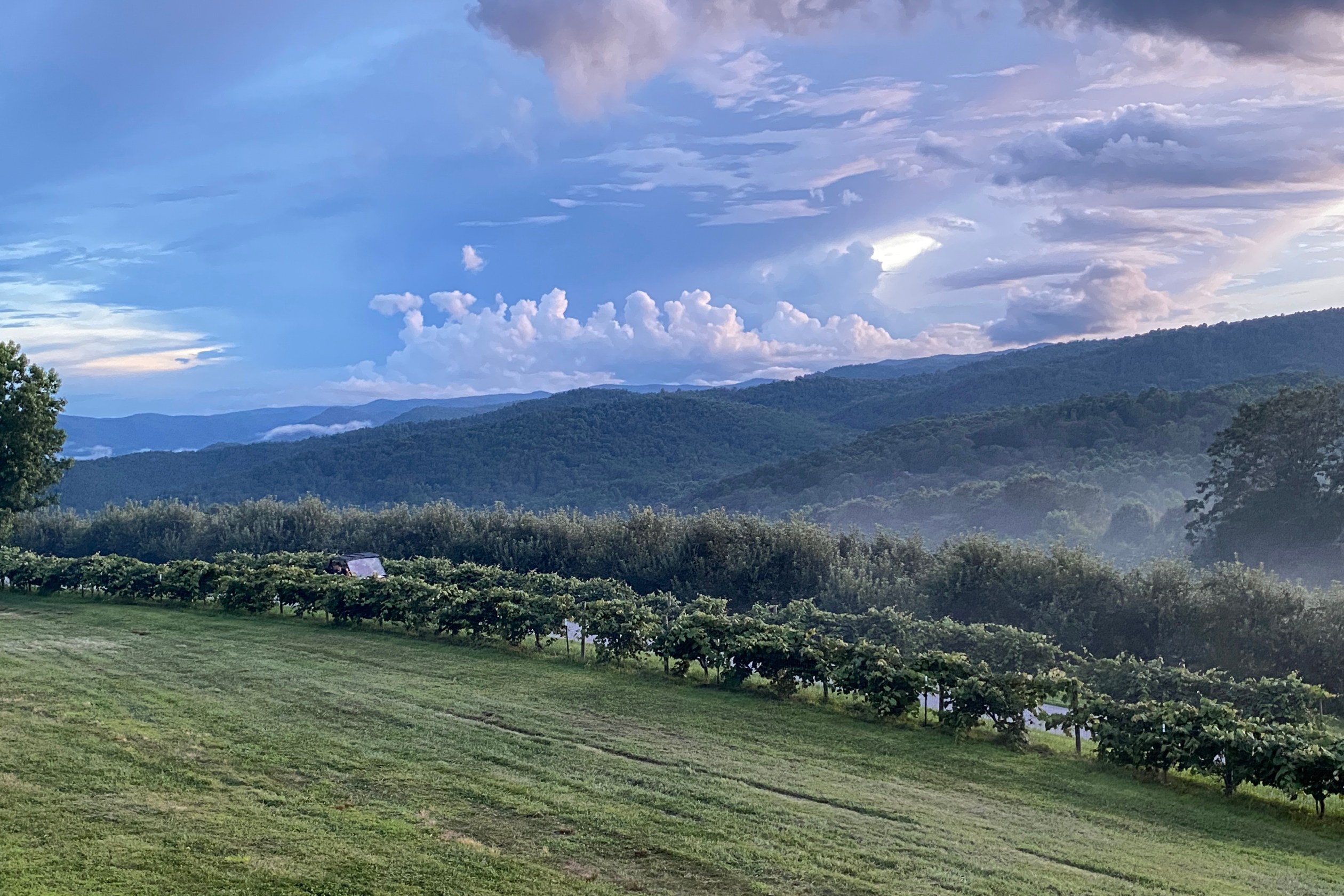 The 23 Best Orchards For Apple Picking Around the U.S.