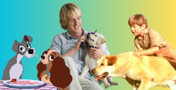 The 14 Best Movies About Dogs