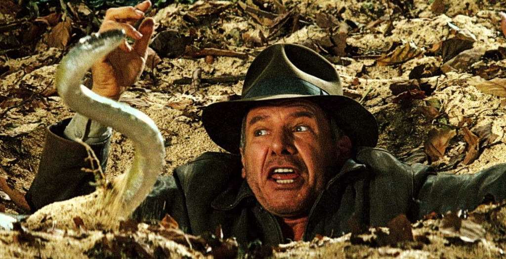 New Species of Snake Named After Harrison Ford