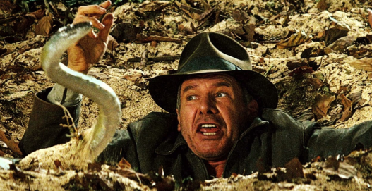 New Species of Snake Named After Harrison Ford