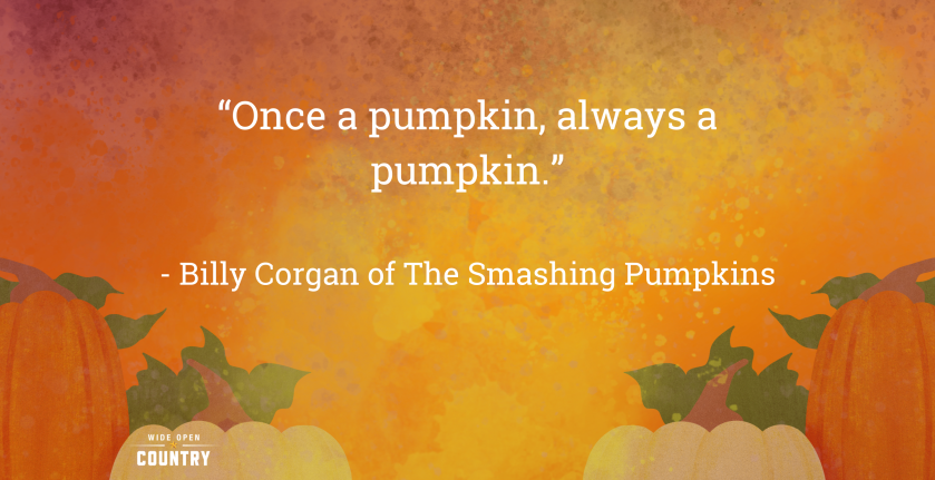65 Best Pumpkin Quotes That Will Squash All the Others