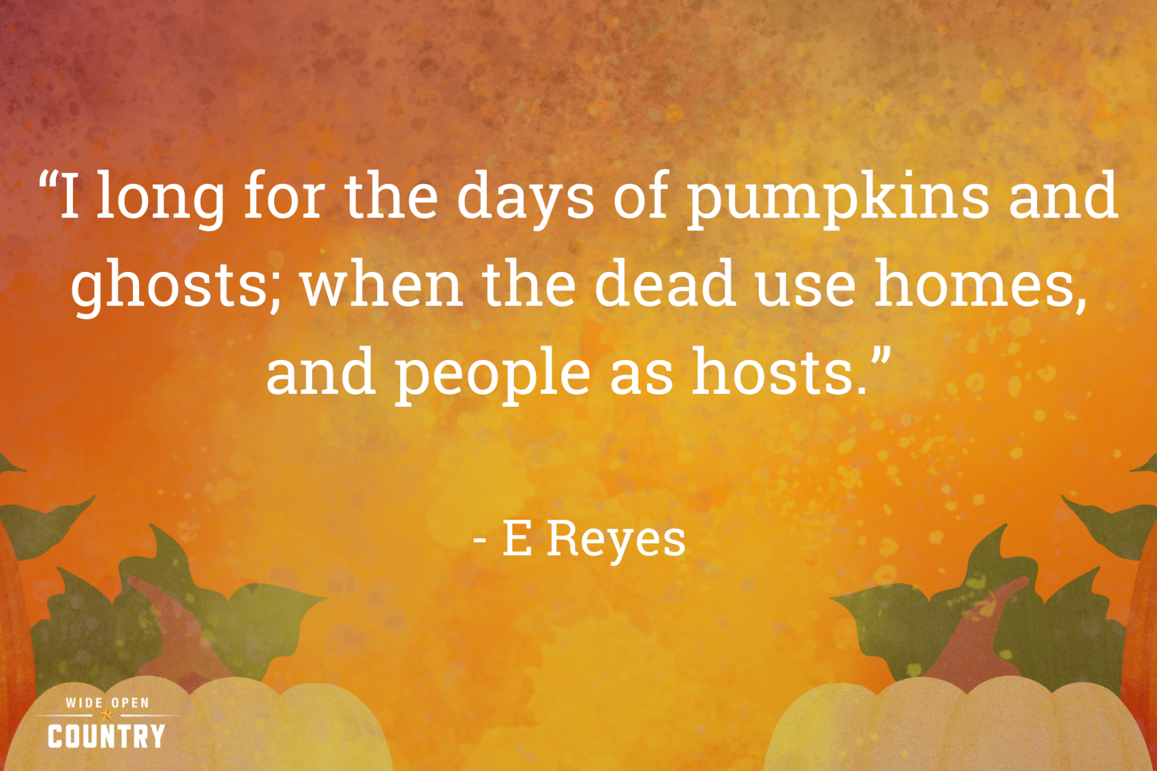 65 Best Pumpkin Quotes That Will Squash All the Others