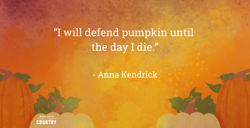 65 Best Pumpkin Quotes That Will Squash All the Others