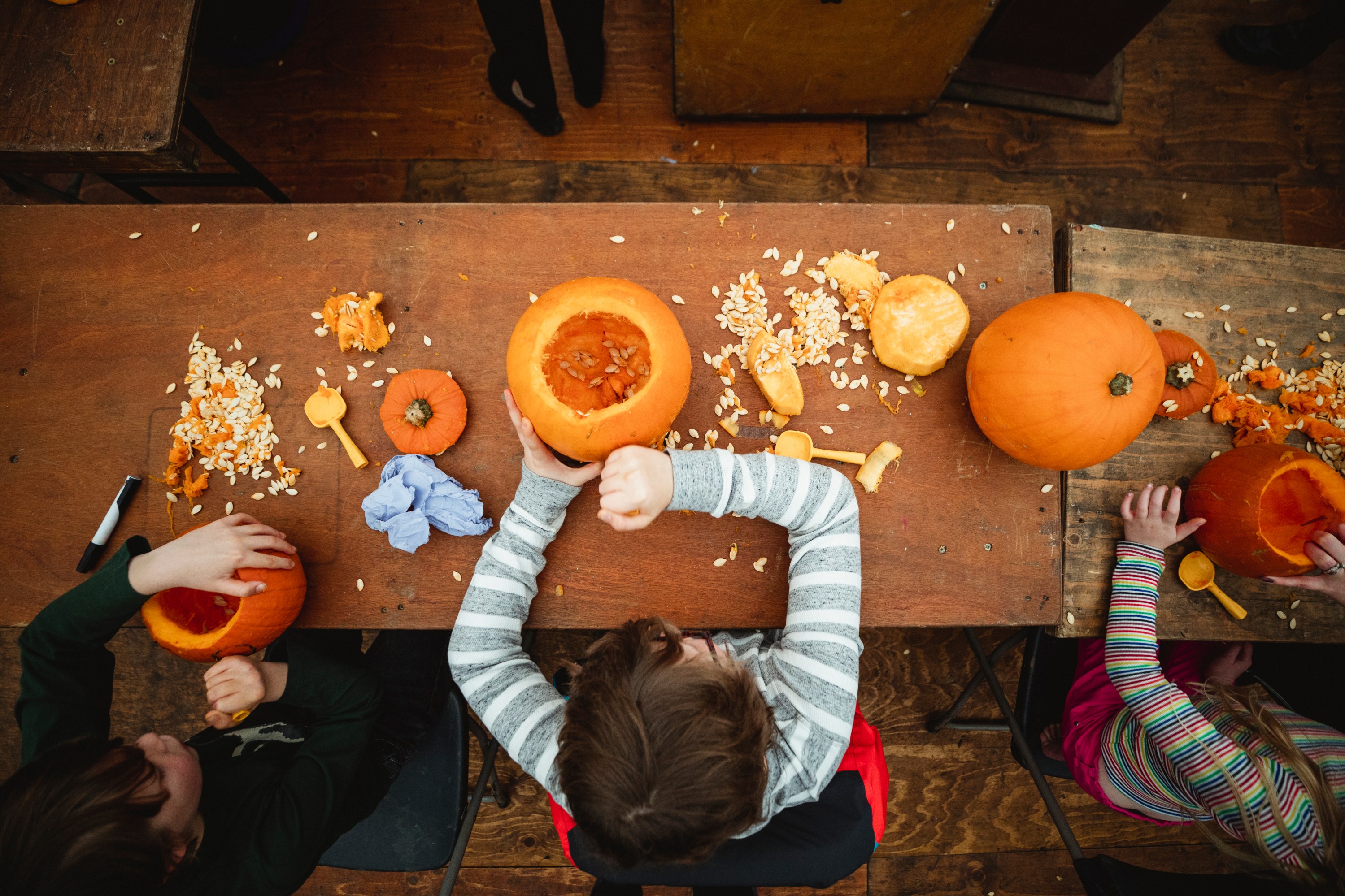 How to Keep Your Pumpkins From Rotting This Fall