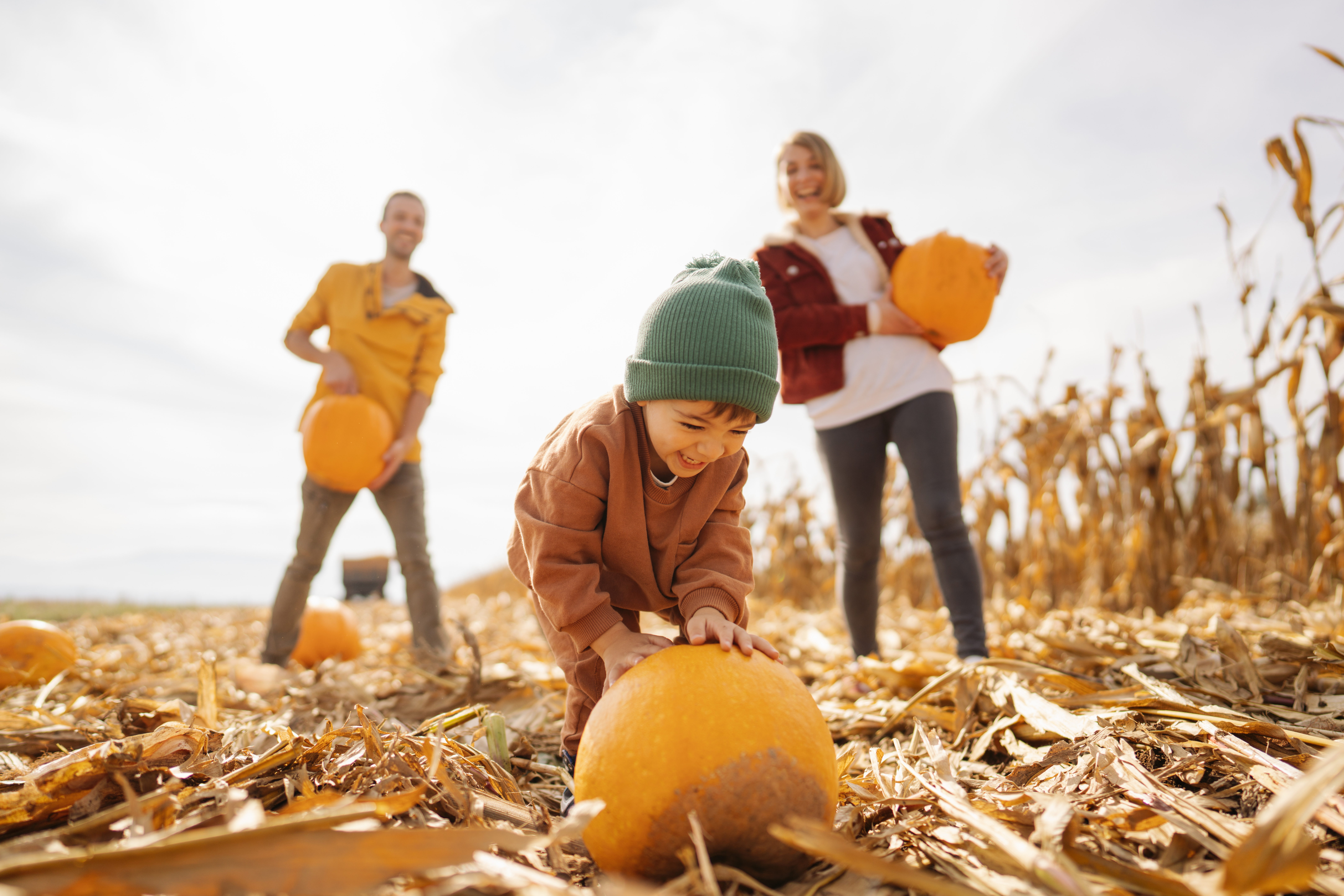How to Keep Your Pumpkins From Rotting This Fall