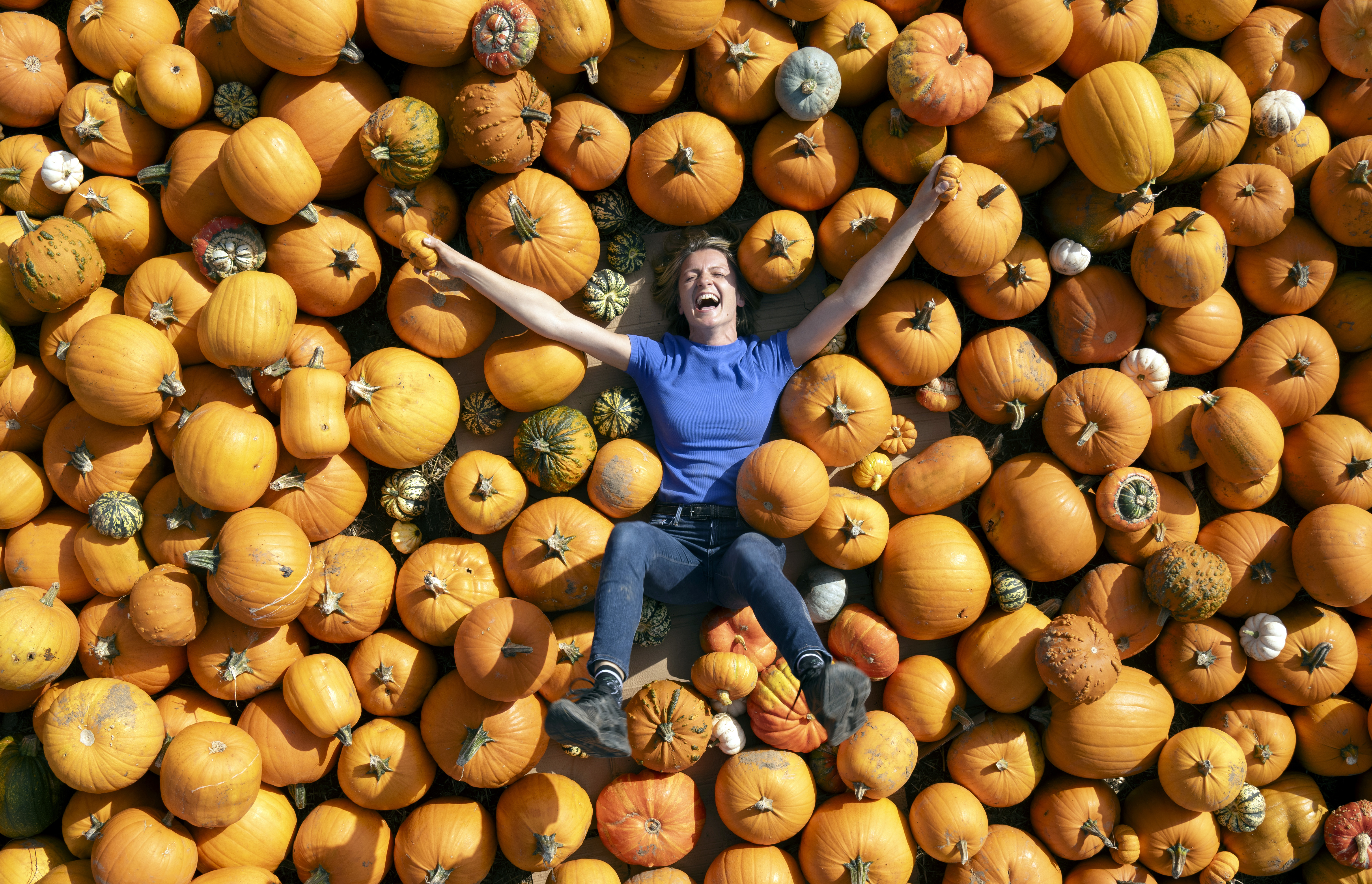 How to Keep Your Pumpkins From Rotting This Fall