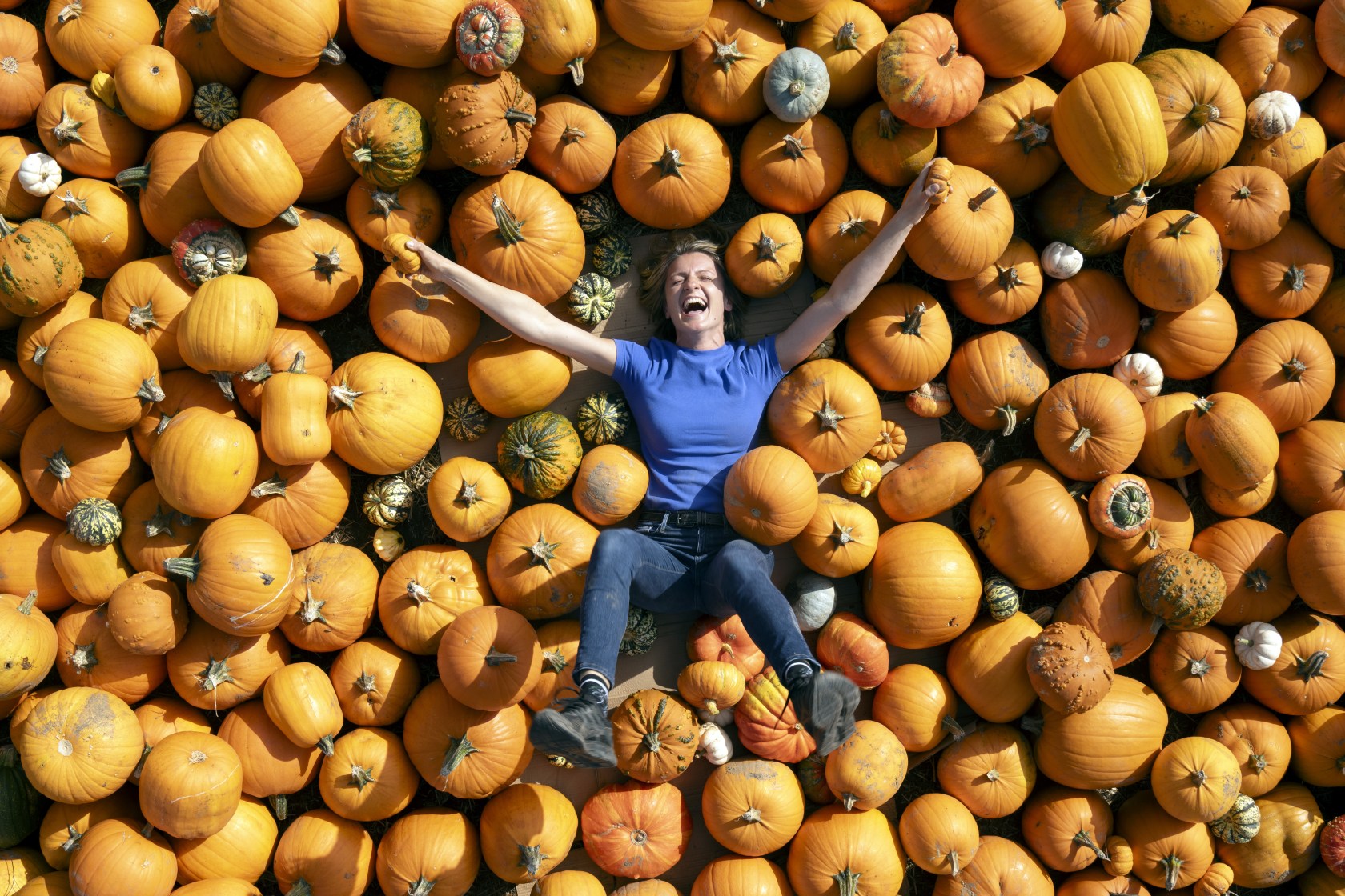How to Keep Your Pumpkins From Rotting This Fall