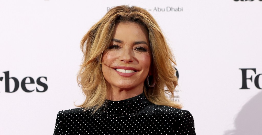 Are Shania Twain and Brad Pitt Cool After Her Famous Diss on “That Don ...
