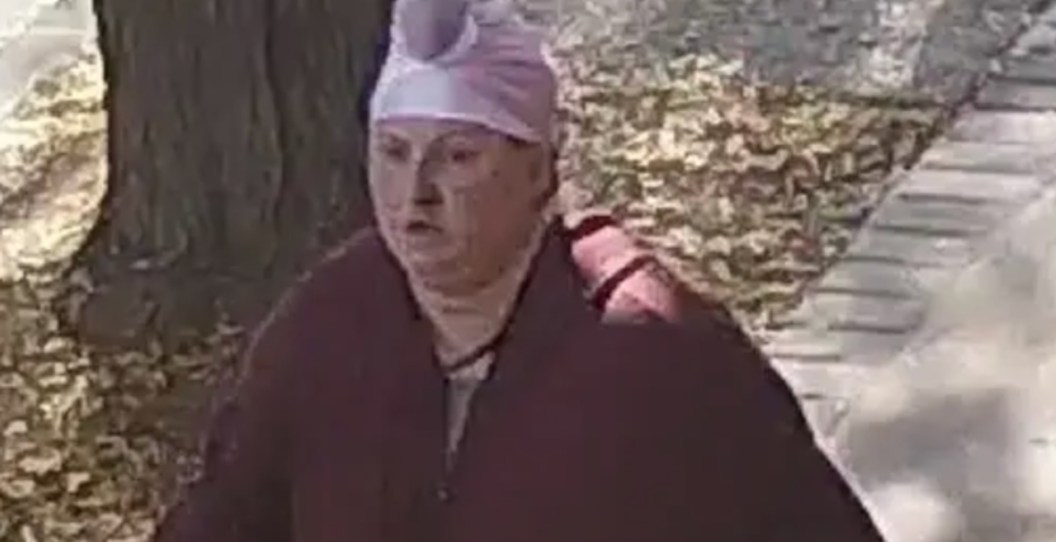 Canadian Woman Labeled A Serial Killer After Going On Murder Spree ...