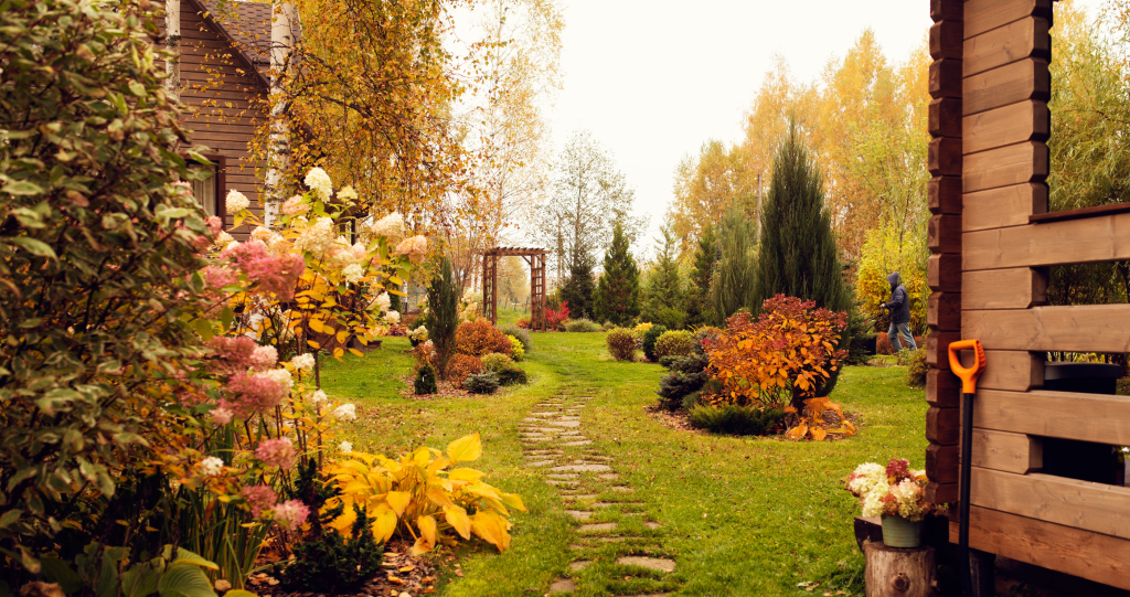 Want To Start A Fall Garden? Here's What I Wish I Knew - Wide Open Country