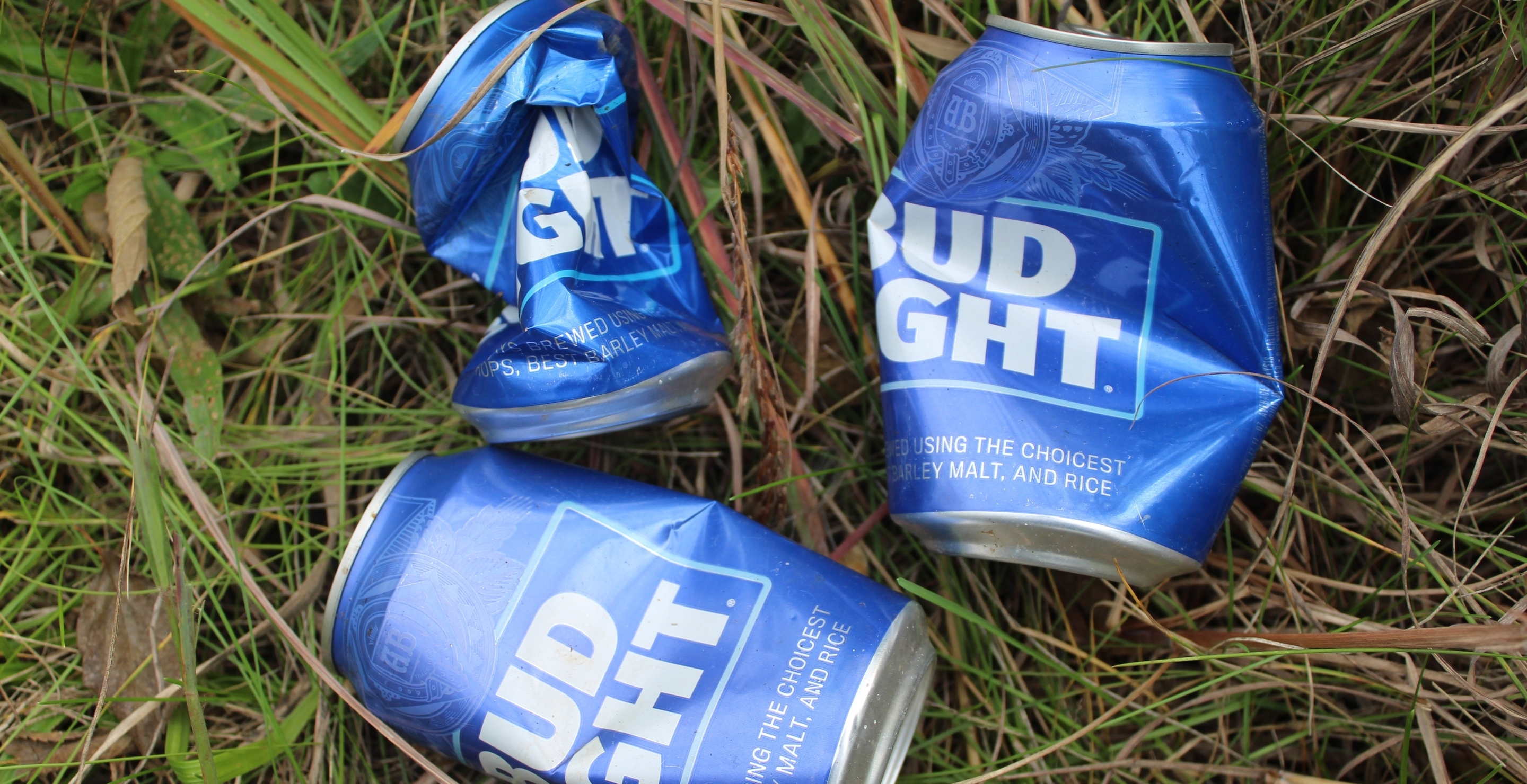 'Yellowstone' Creator Lets Viewers Know His Real Thoughts On Bud Light ...