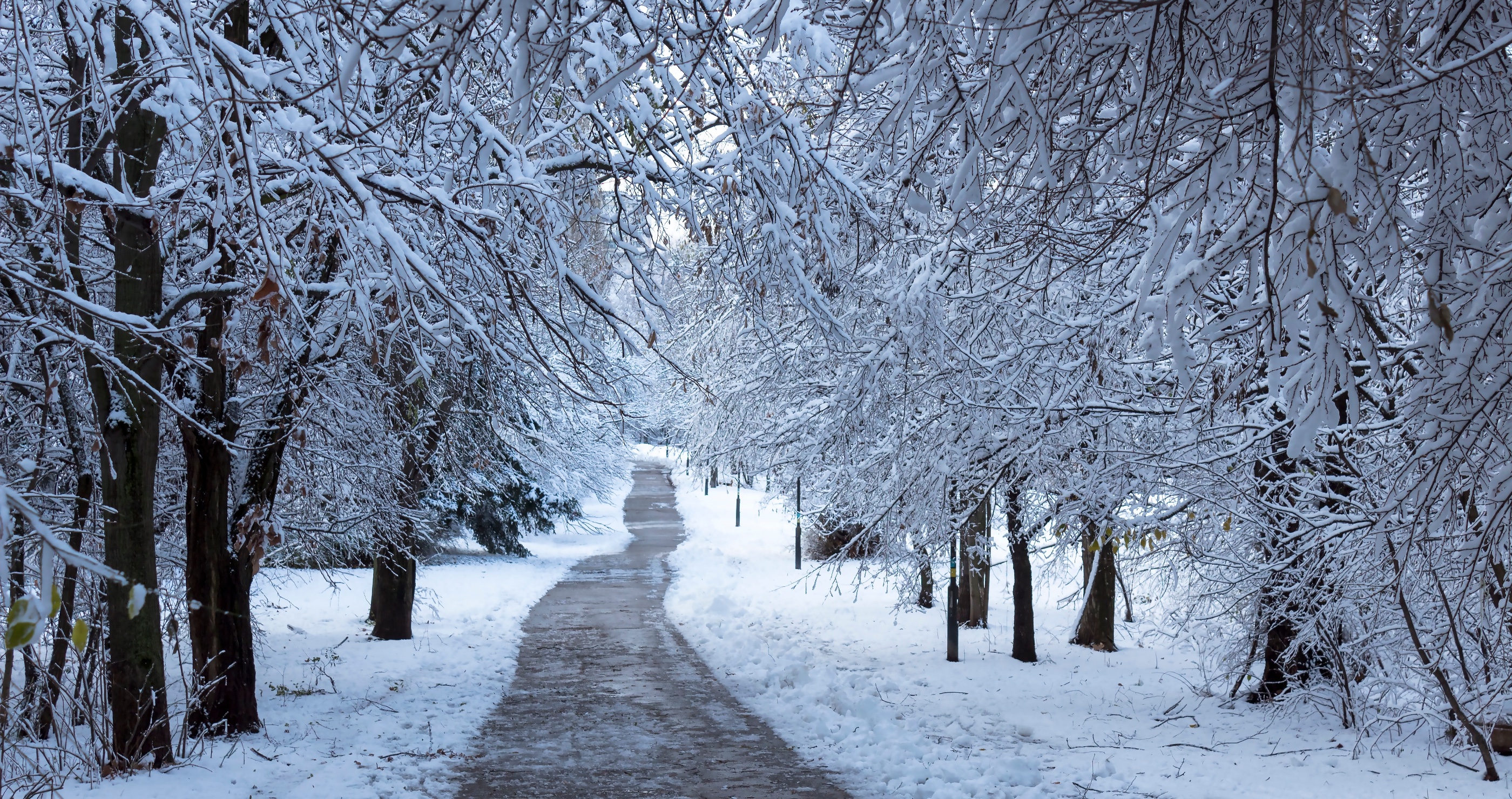 4 Things You Should Know About Snow In The South - Wide Open Country