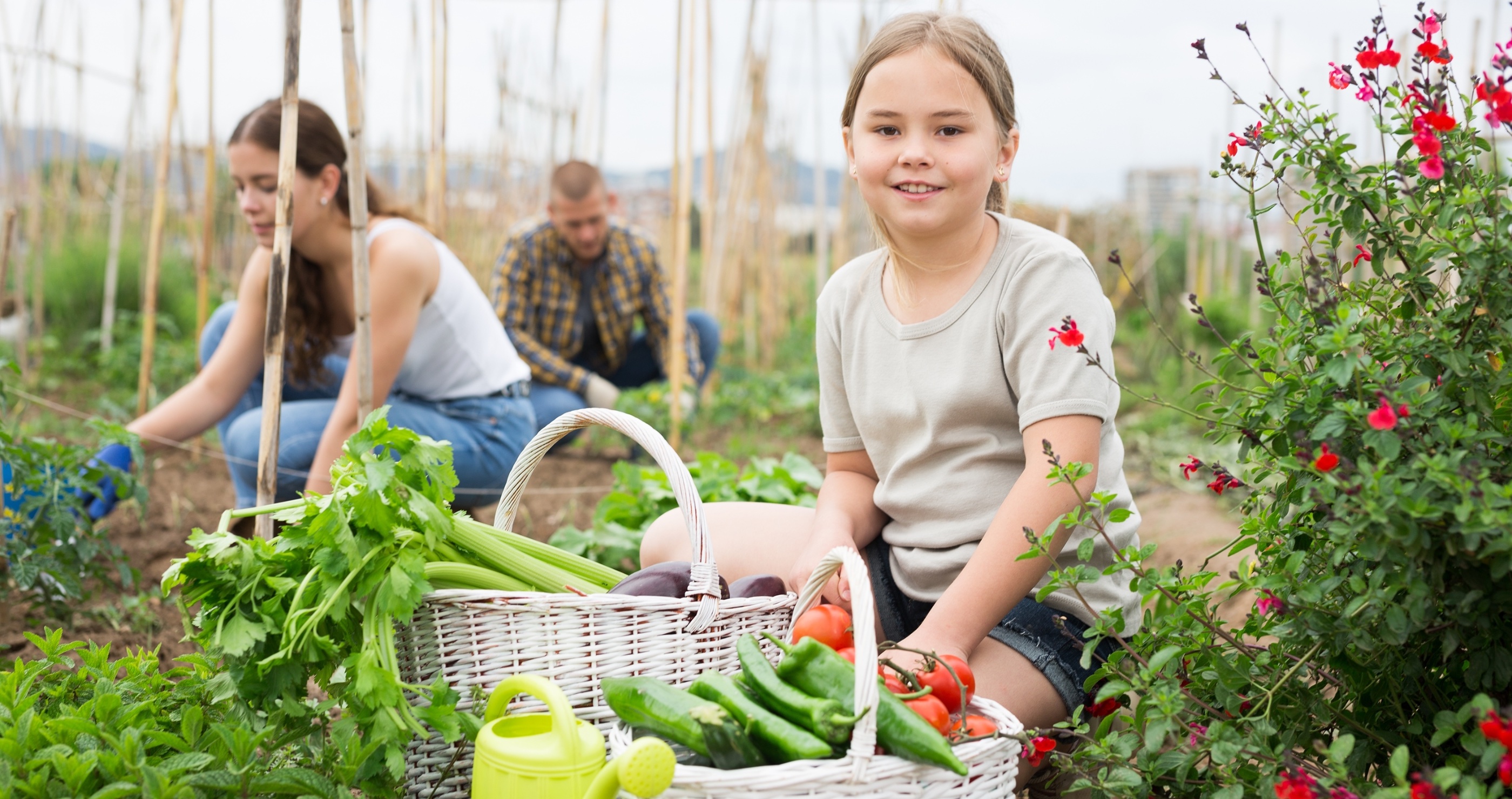 5 Easy Ways To Start Homesteading With Your Kids - Wide Open Country