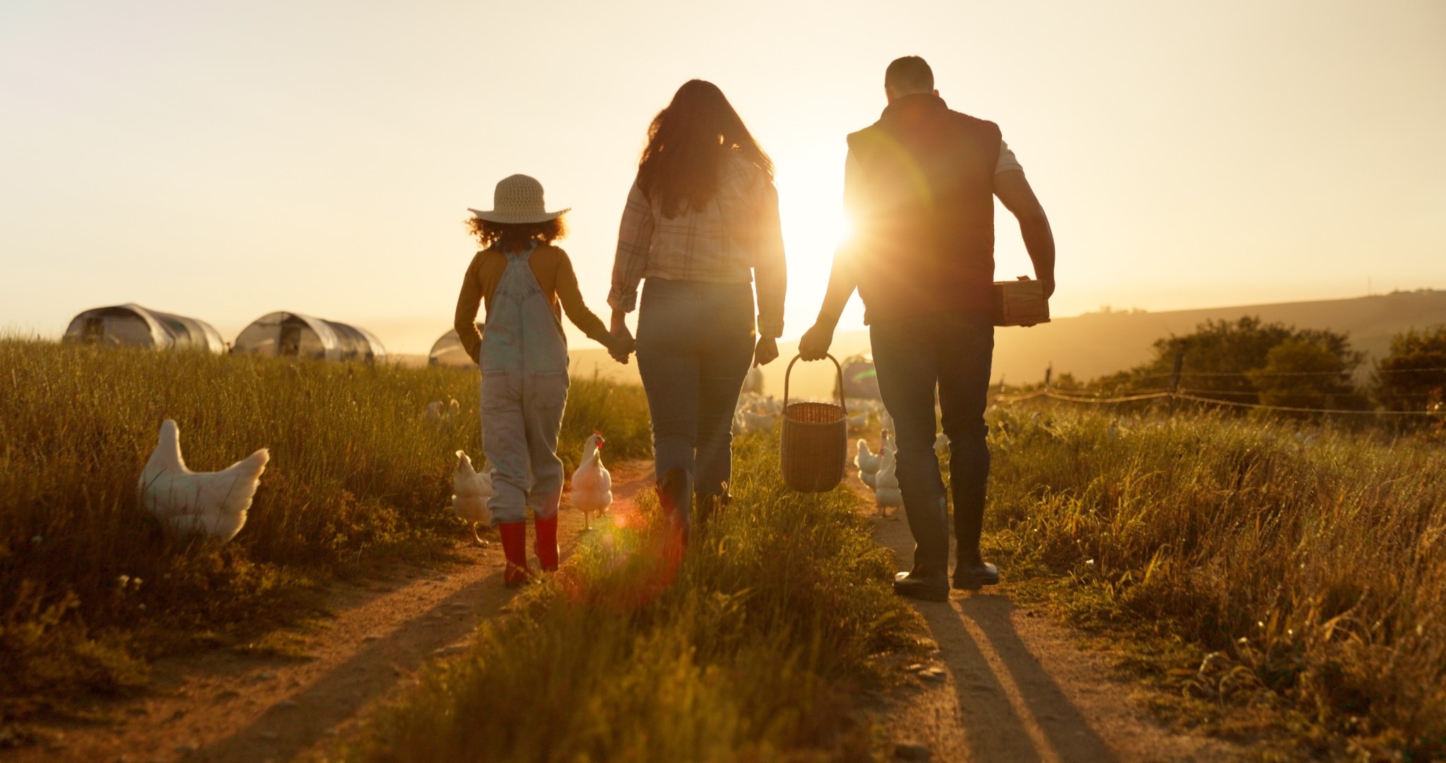So You Want To Start A Family Farm: 10 Things You Should Know - Wide ...
