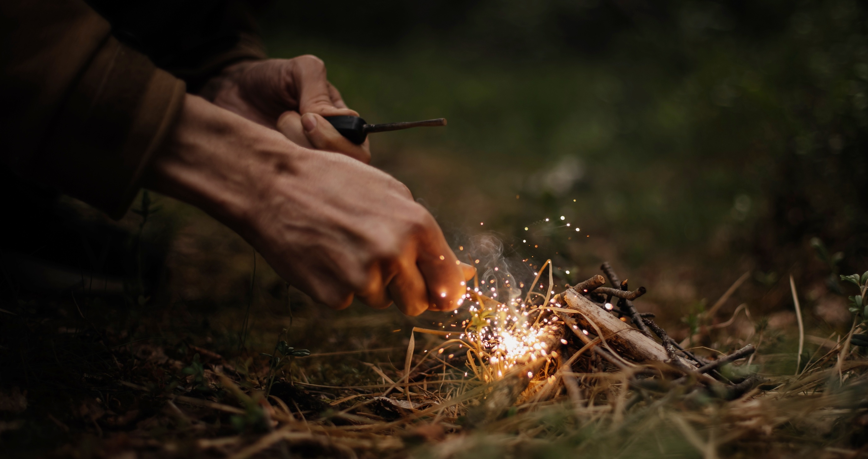 5 Easy Ways To Start Homesteading With Your Kids - Wide Open Country
