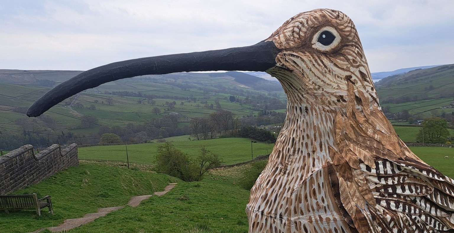 Man Hikes 53 Miles Wearing Bird Costume To Raise Awareness On ...