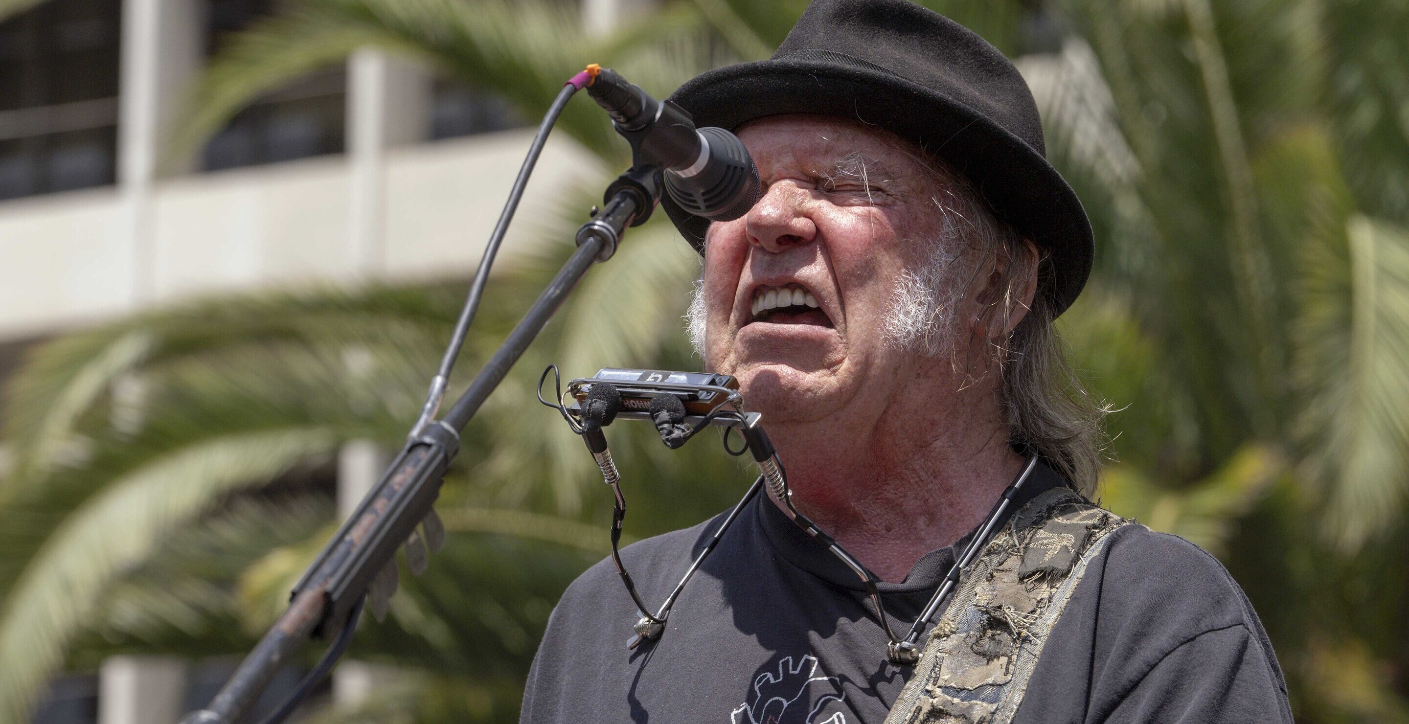 Neil Young Targets Elon Musk In Politically Charged New Song - Wide ...