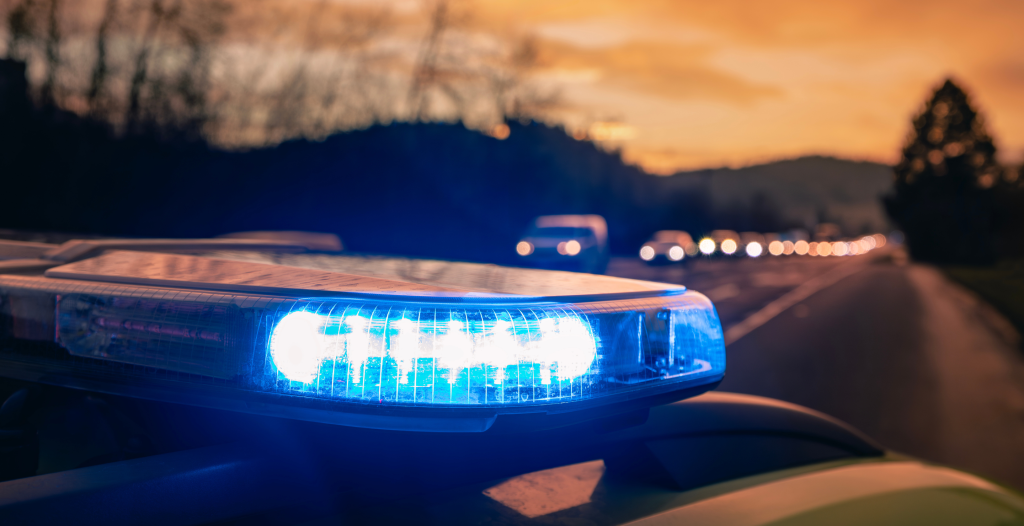 Woman Killed After Trying to Chase Escaped Pet on Highway