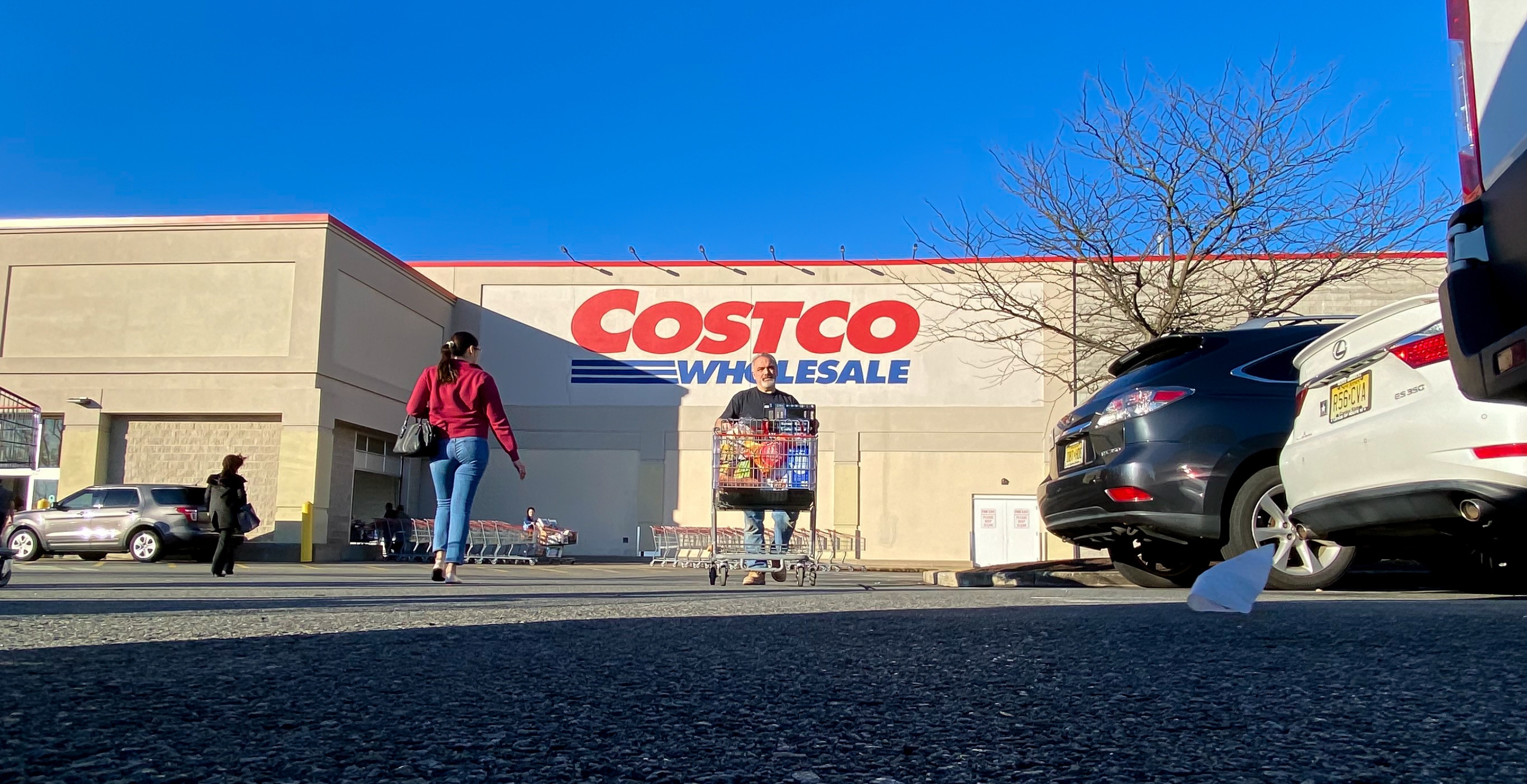 Costco Product May be Carrying an Invasive Species as Officials Declare ...