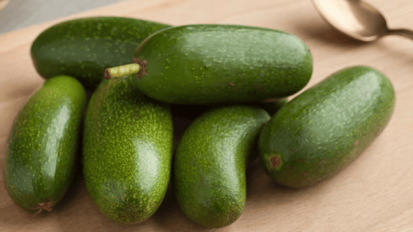 The New Seedless Avocados Look Just Like Mini Pickles