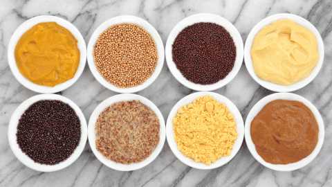 Our Quick Guide to the 8 Types of Mustard Makes BBQs Better